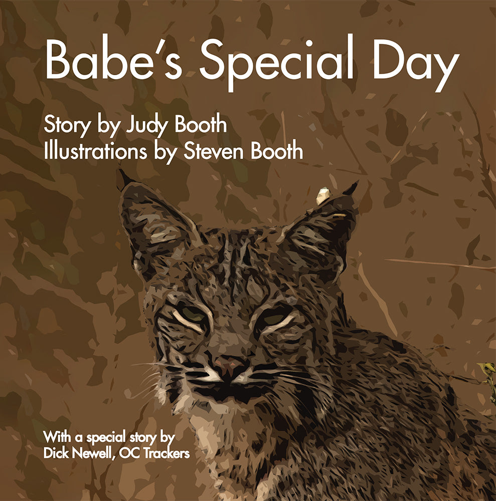 Babe's Special Day: A Bobcat's Tale – Genius Books